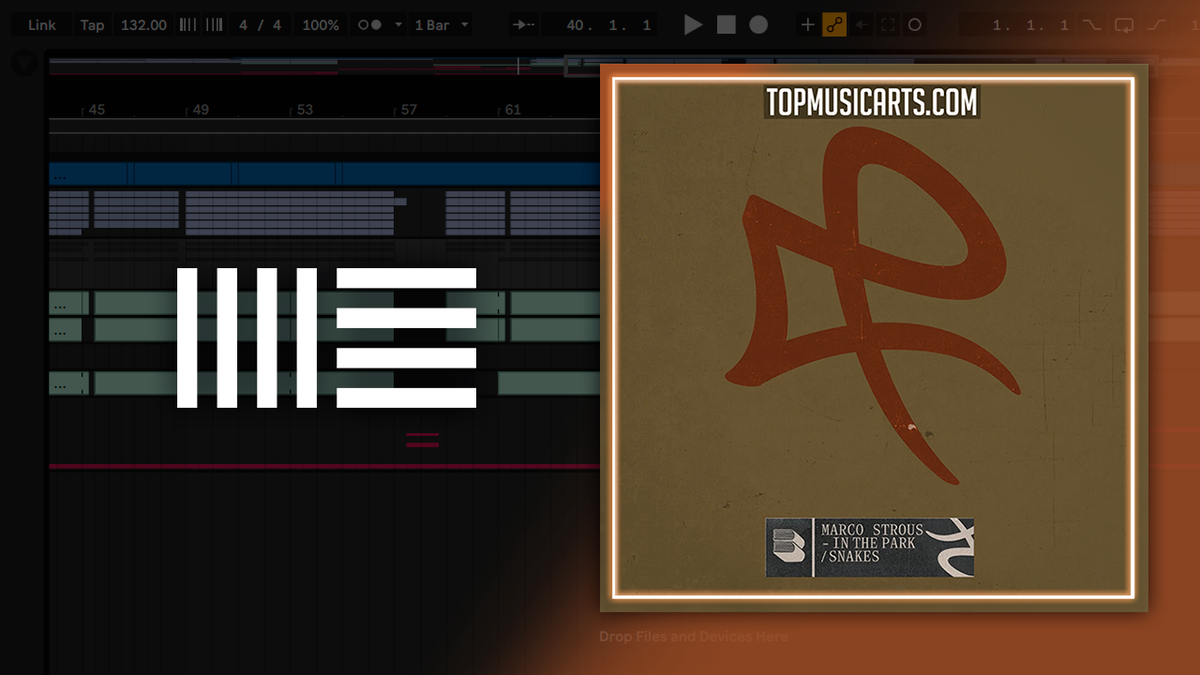 Marco Strous - In The Park Ableton Remake (Tech House) – Top Music Arts