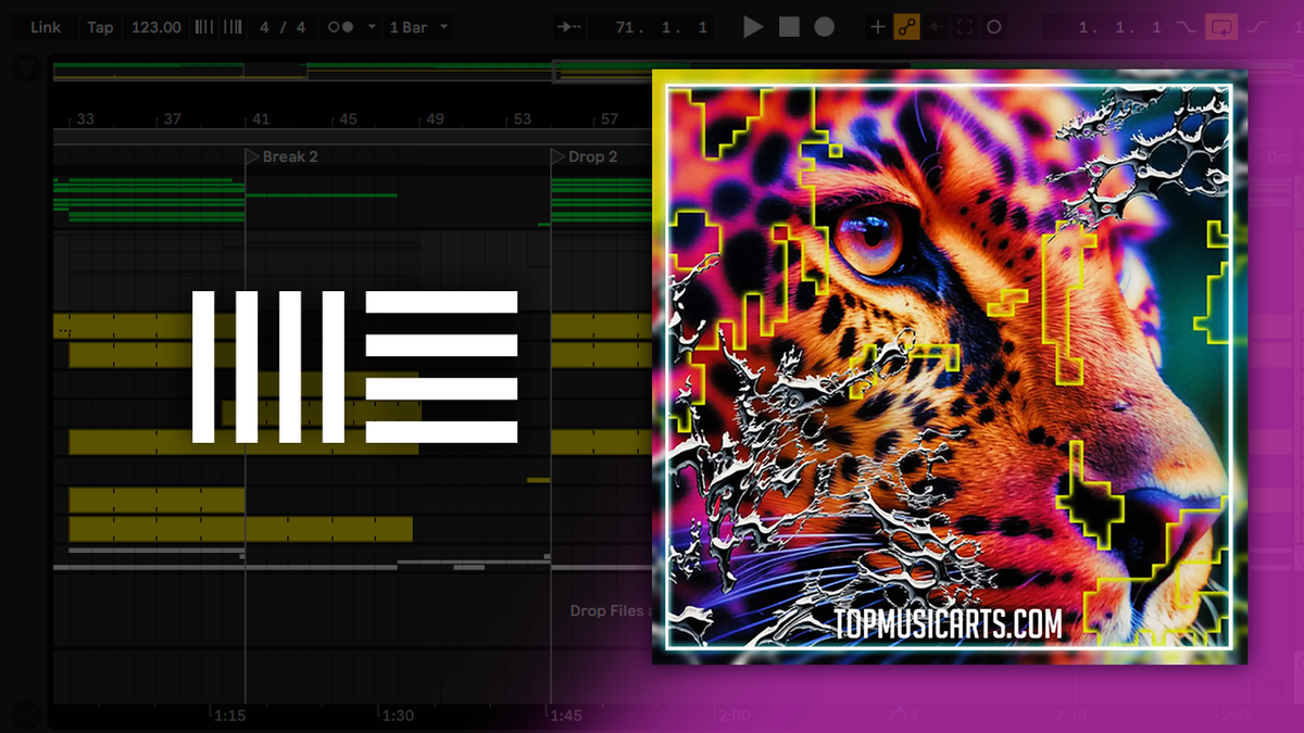 Vintage Culture, Maverick Sabre, Tom Breu - Weak Ableton Remake (Deep ...