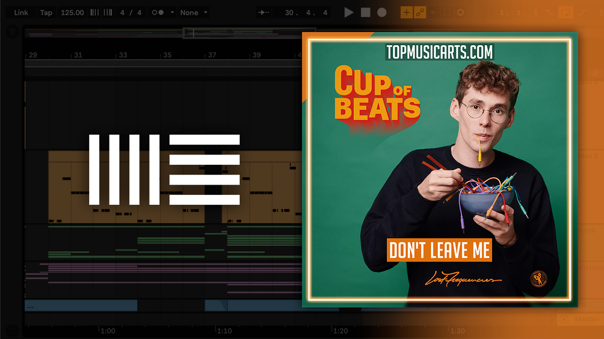 Lost Frequencies feat. Mathieu Koss - Don't Leave Me Ableton Remake (D ...