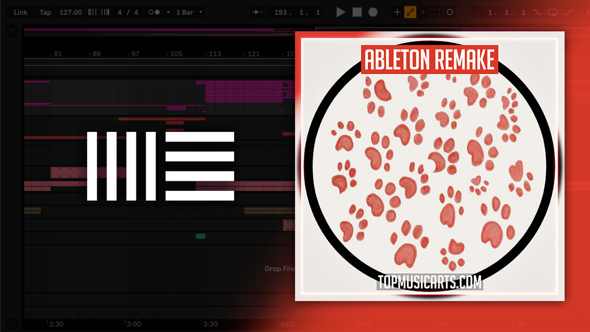 PAWSA - Groovy Cat (Tech House) – Top Music Arts