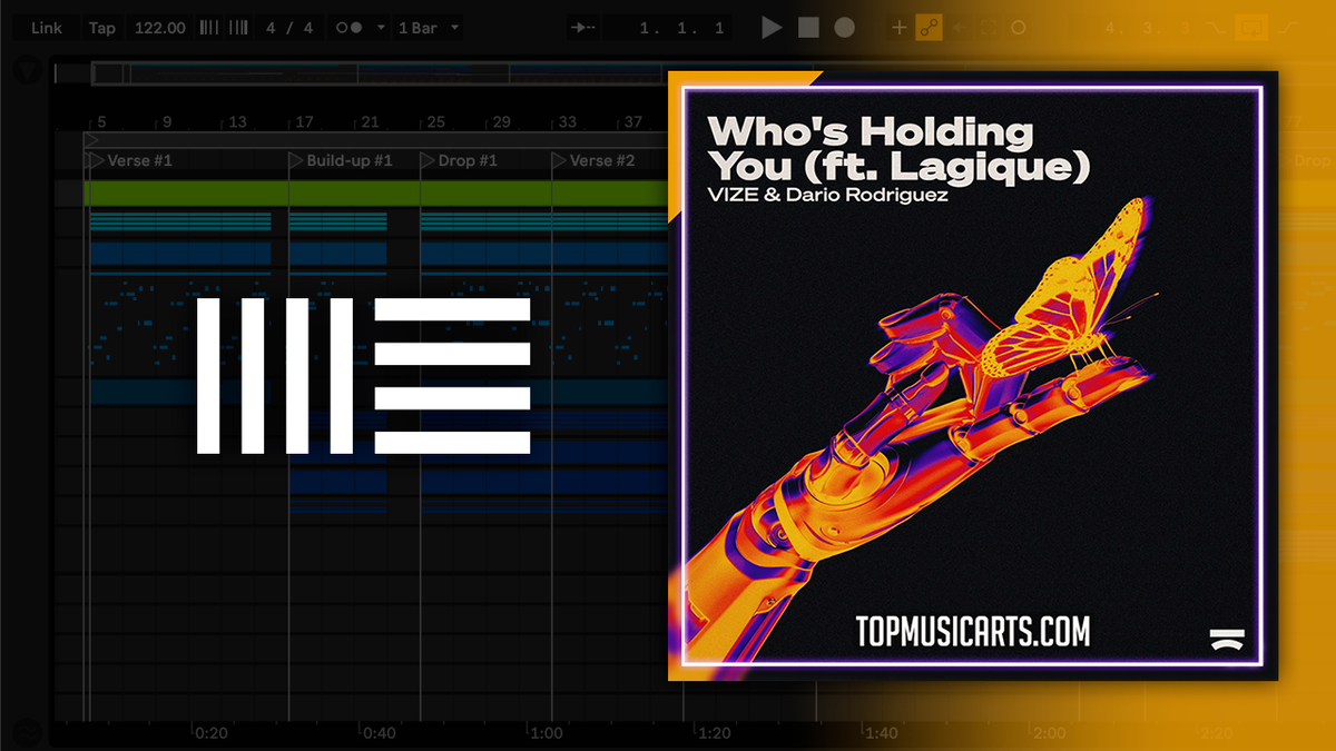 VIZE, Dario Rodriguez feat. Lagique - Who's Holding You Ableton Remake ...